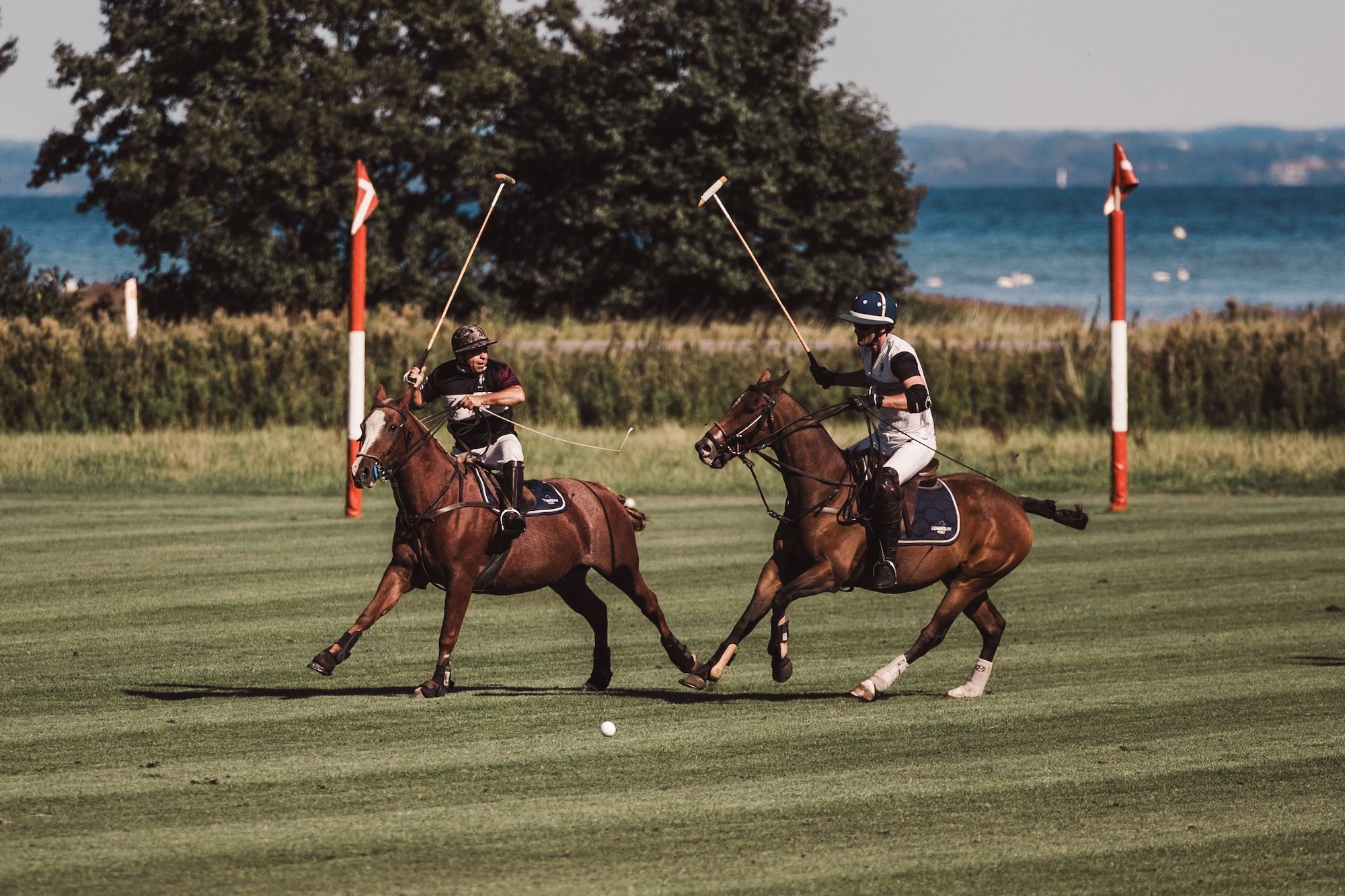 Polo Sport: The Game of the Kings - Anna Archinger | Horse Photography