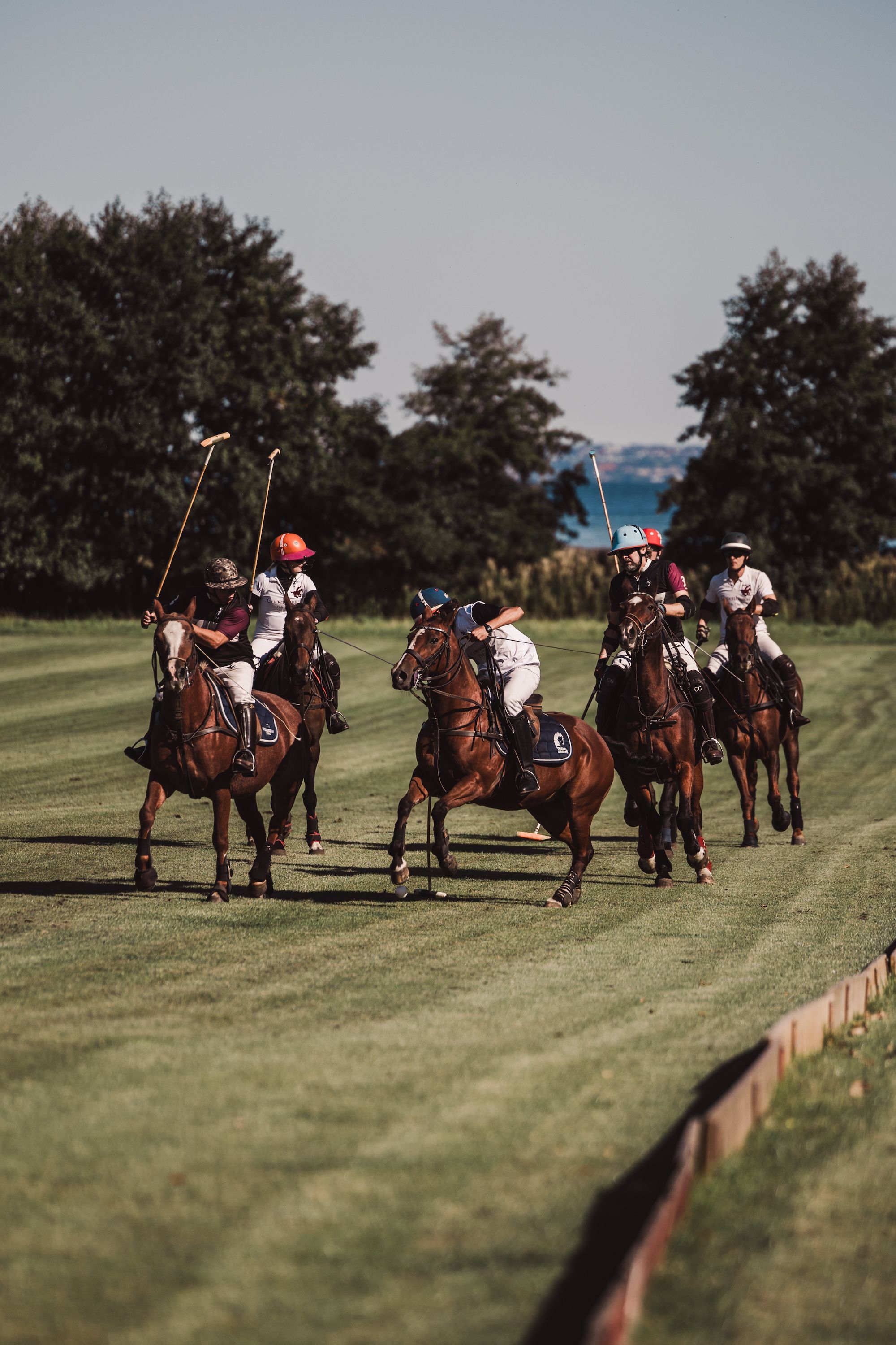 Polo Sport: The Game of the Kings - Anna Archinger | Horse Photography