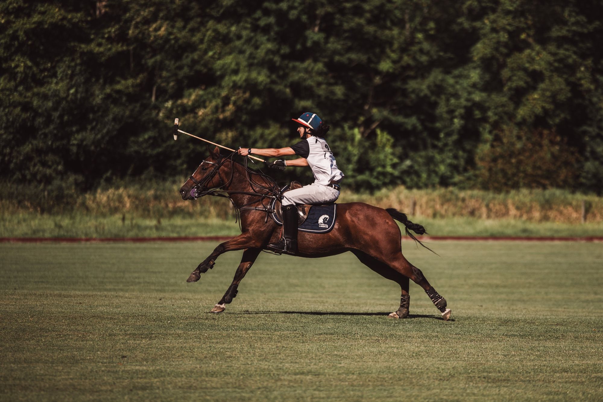 Polo Sport: The Game of the Kings - Anna Archinger | Horse Photography