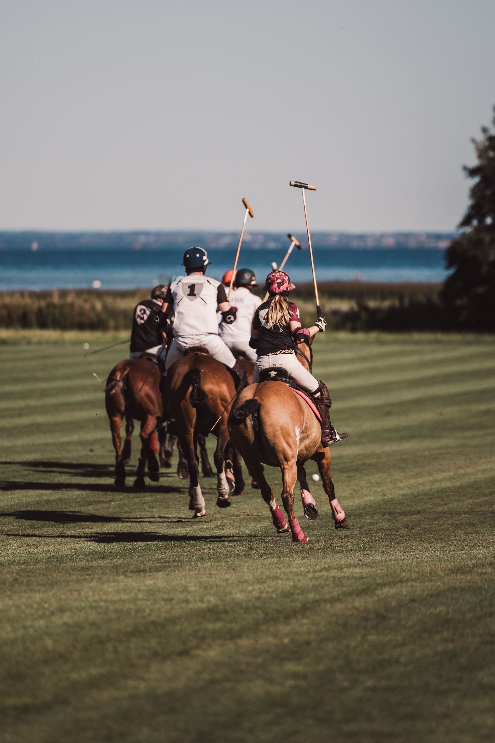 Polo Sport: The Game of the Kings - Anna Archinger | Horse Photography