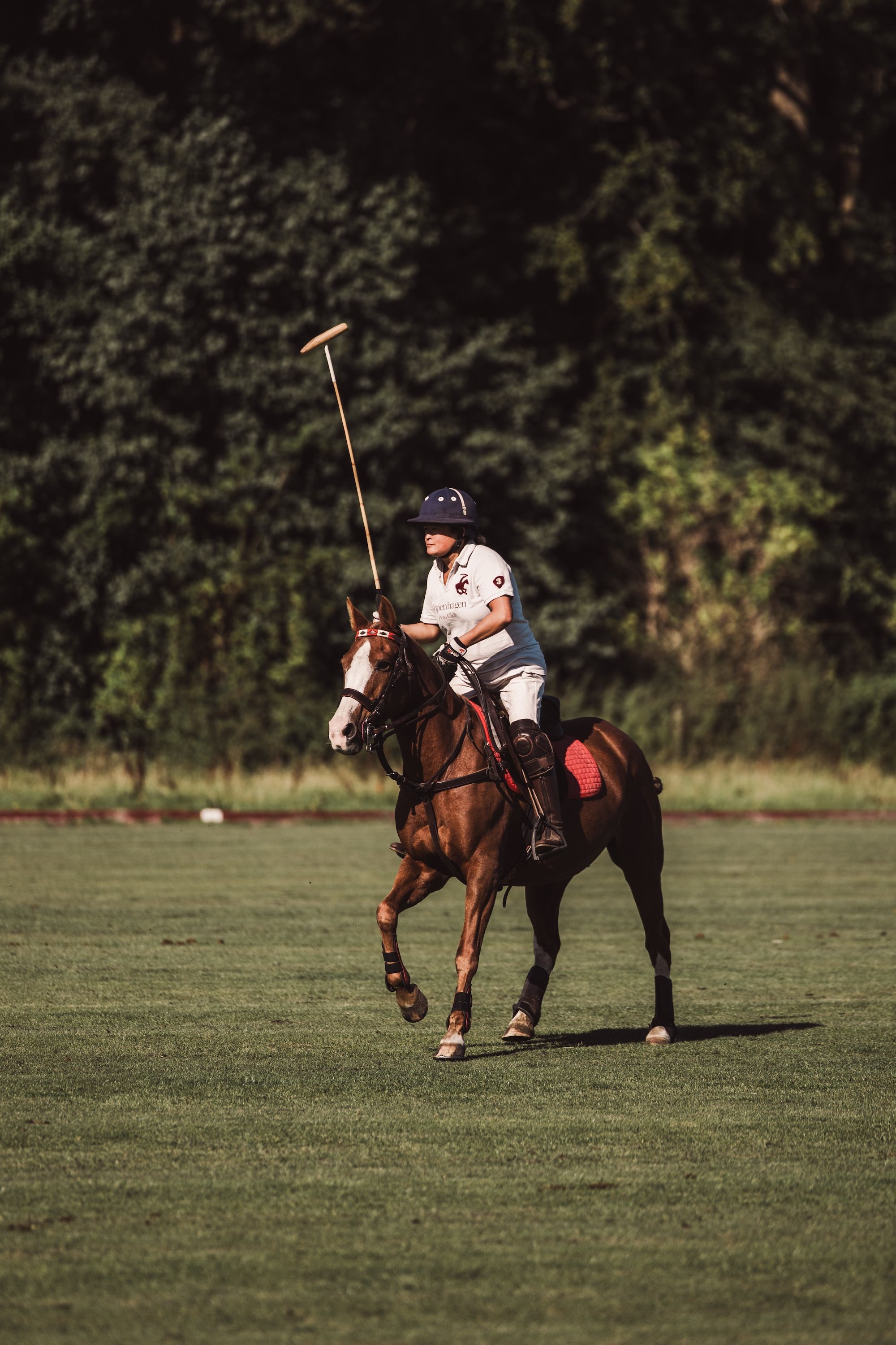 Polo Sport: The Game of the Kings - Anna Archinger | Horse Photography
