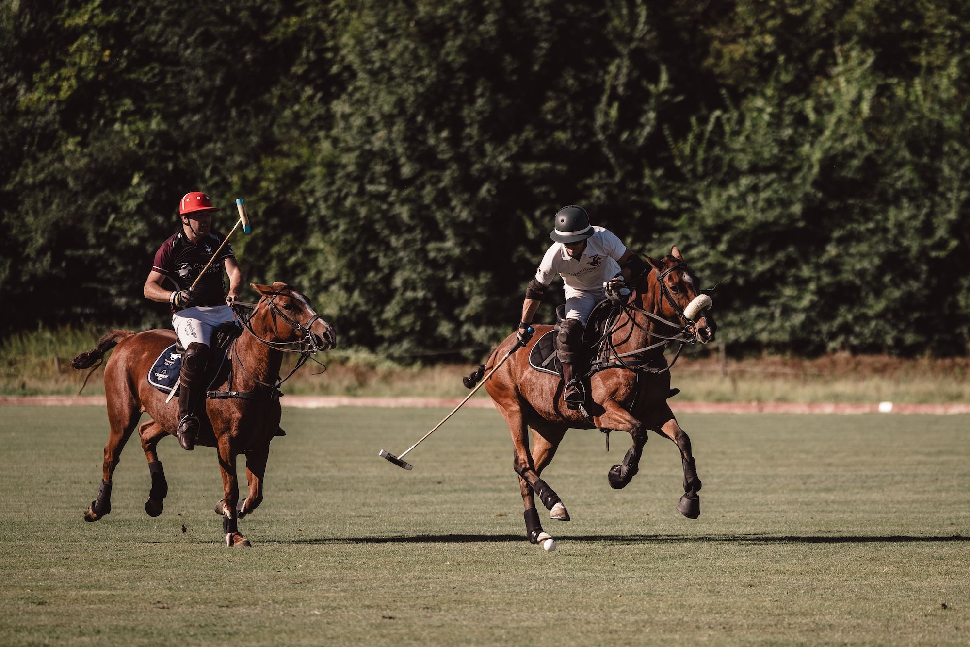 Polo Sport: The Game of the Kings - Anna Archinger | Horse Photography