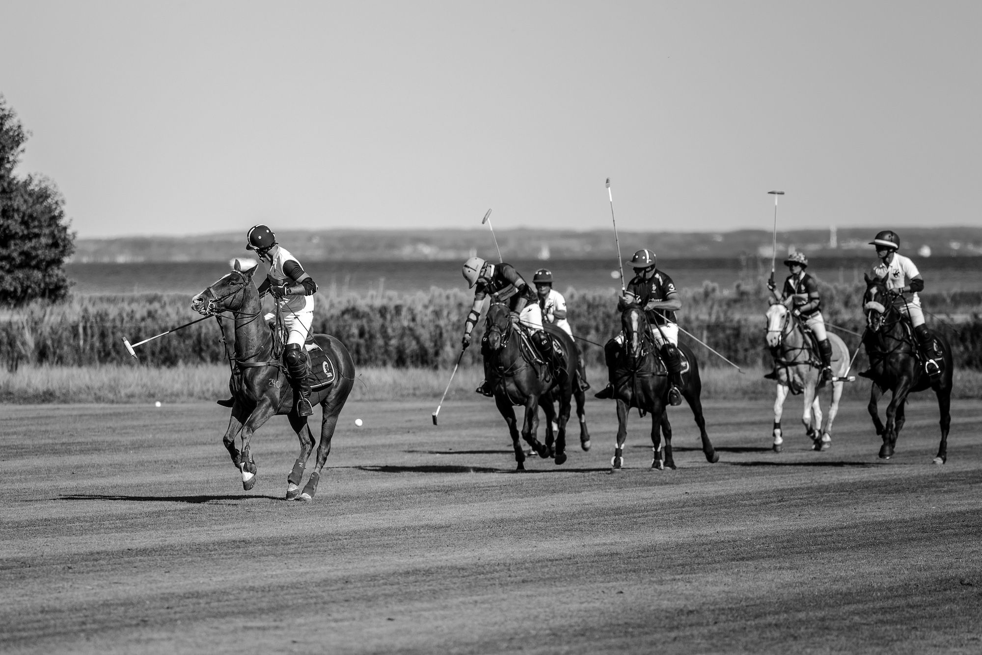 Polo Sport: The Game of the Kings - Anna Archinger | Horse Photography