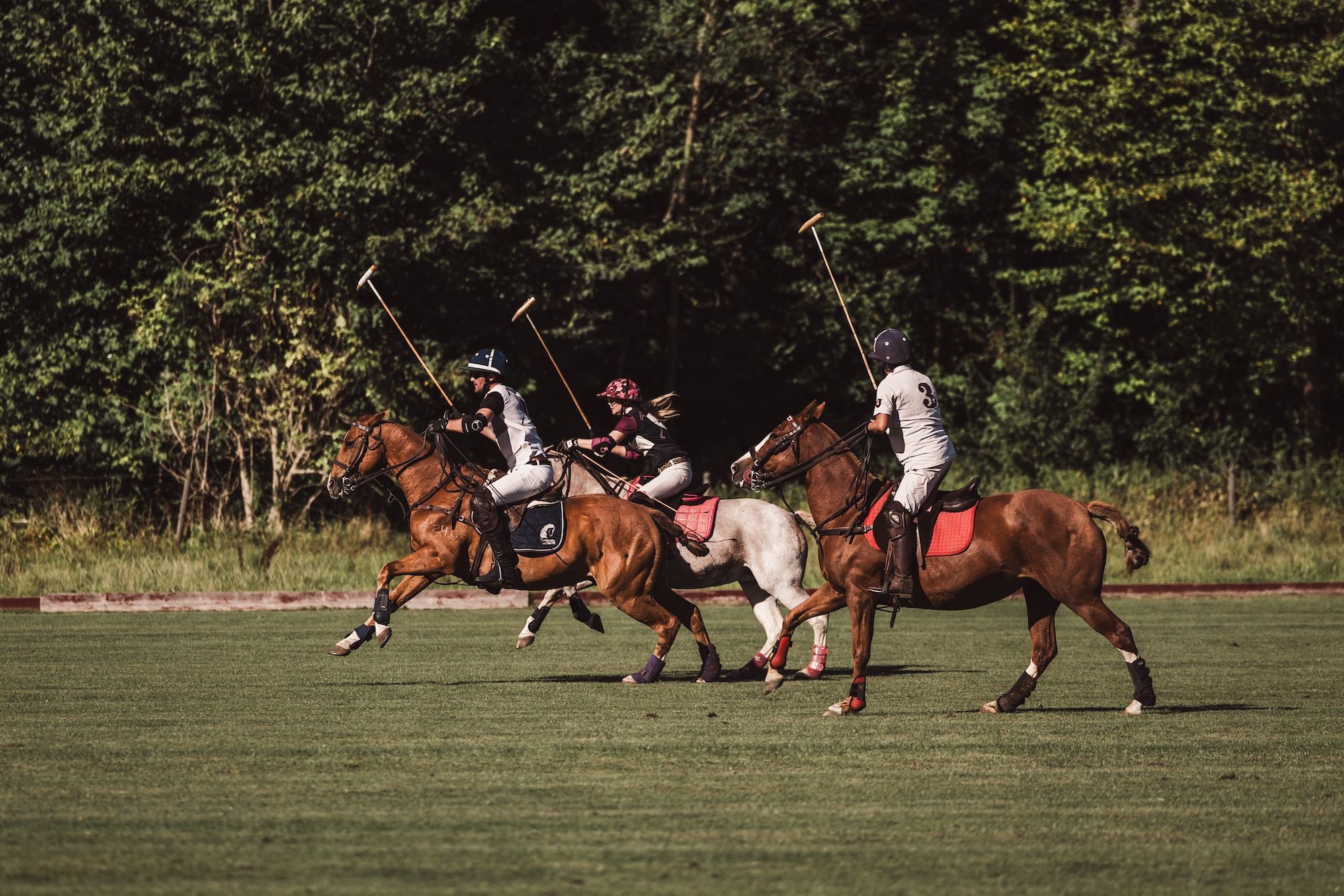 Polo Sport: The Game of the Kings - Anna Archinger | Horse Photography