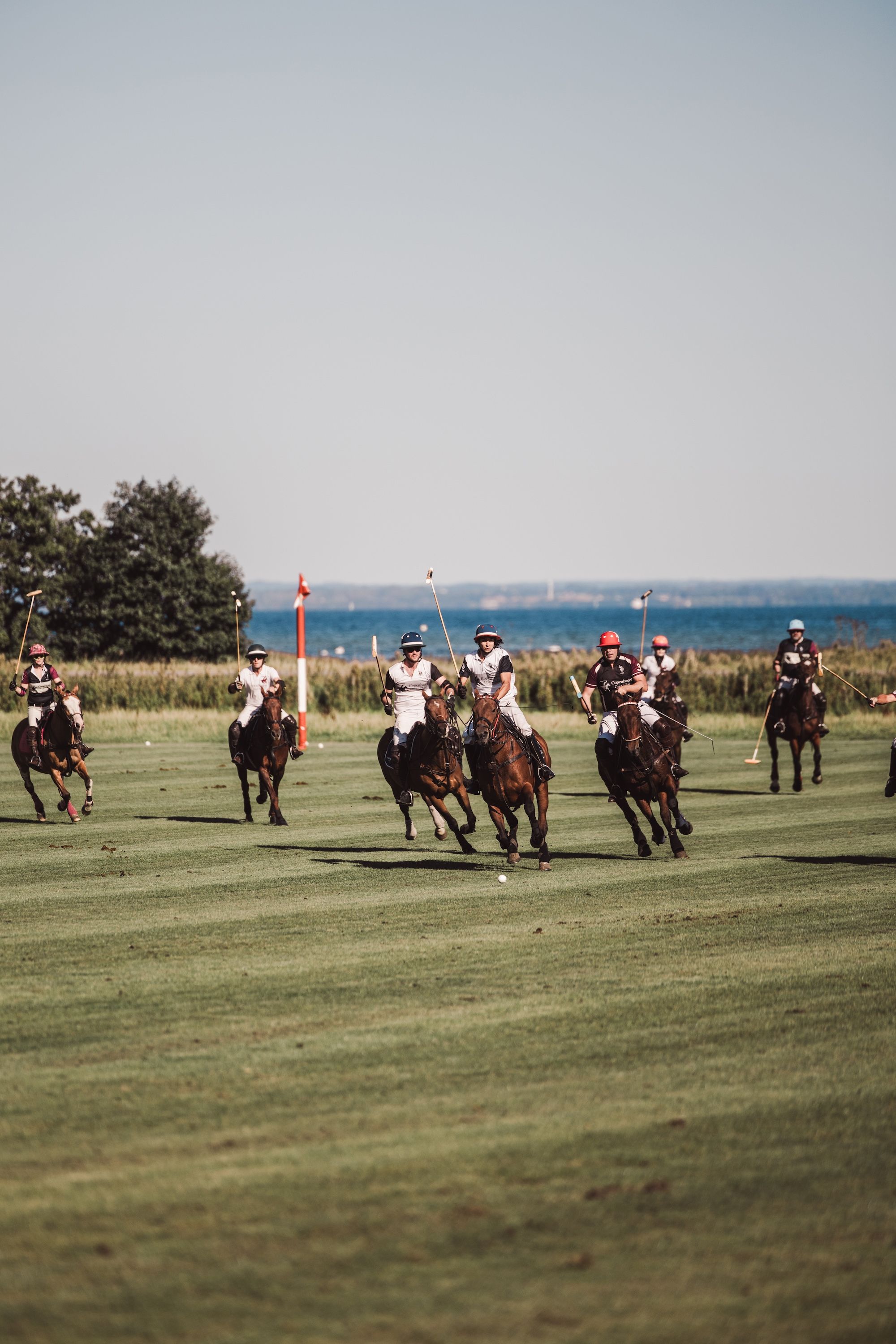 Polo Sport: The Game of the Kings - Anna Archinger | Horse Photography