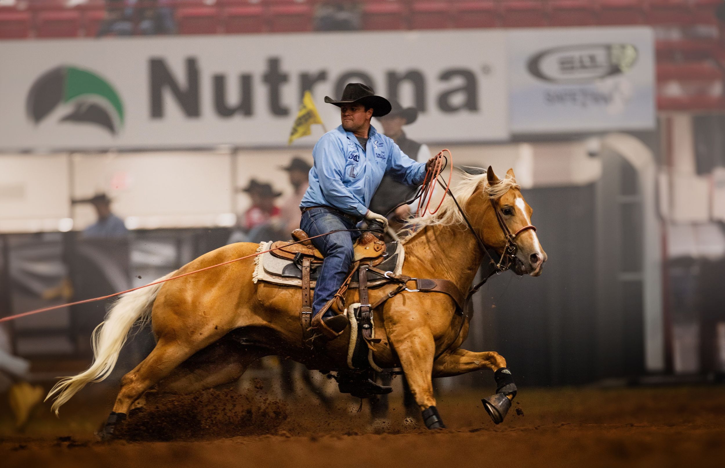 Briggs Performance Horses