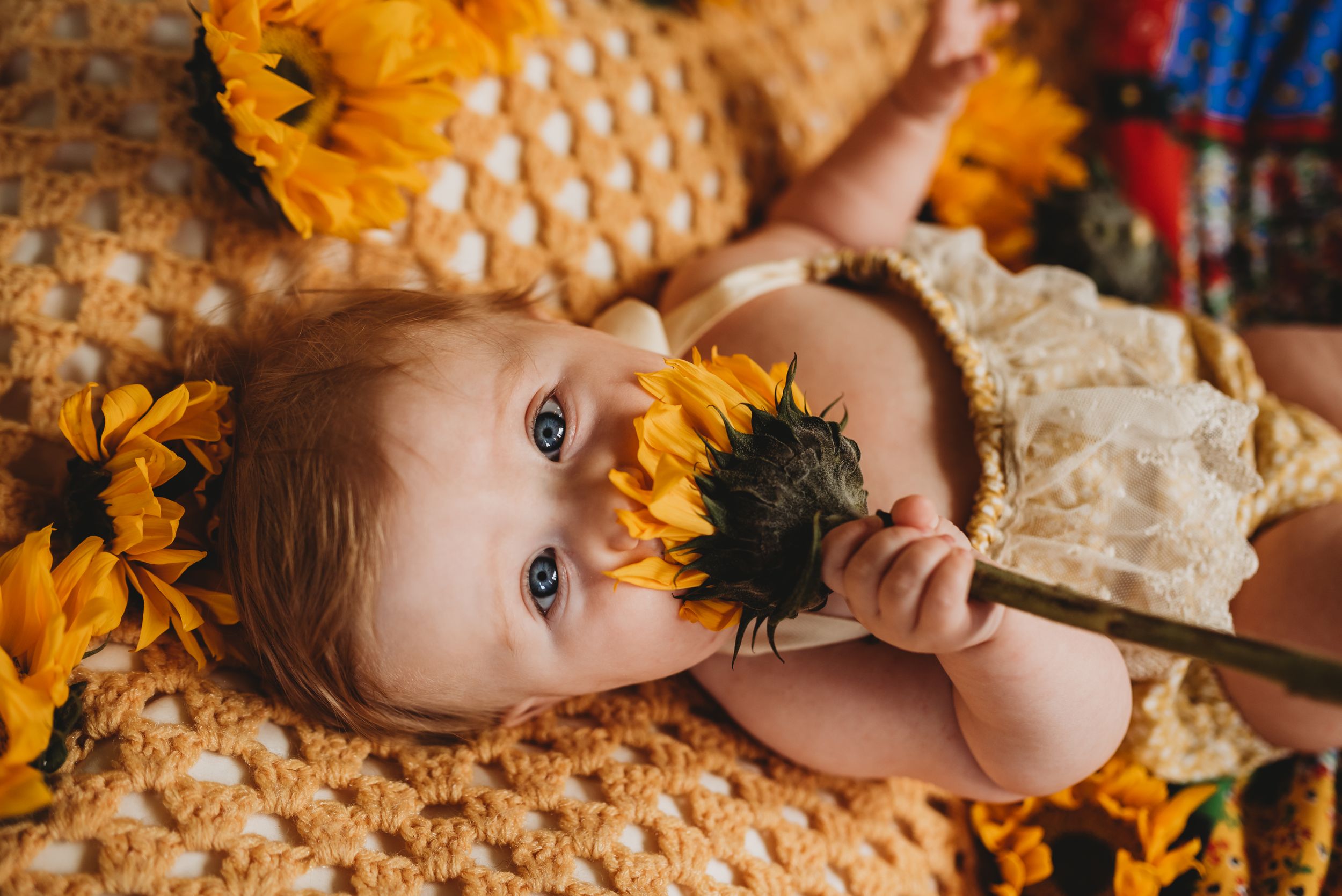 Denver Colorado Children & Milestone Photographer