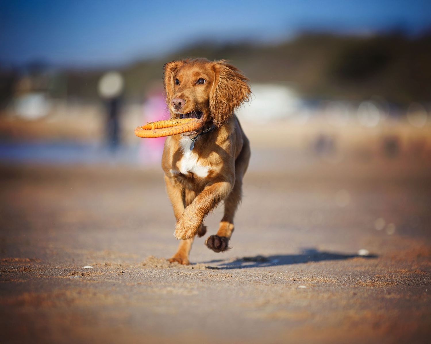 Experience - Andy Pull Photography