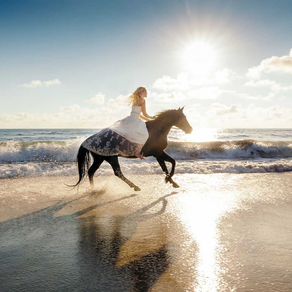 Matt Lusk Photography