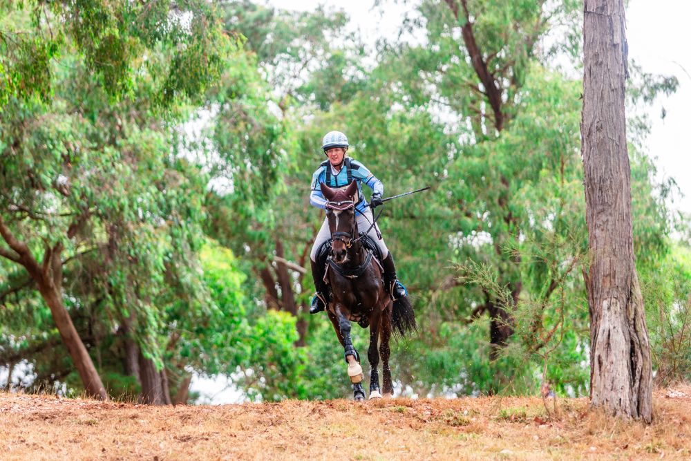 Competition - Taylah Clark photography