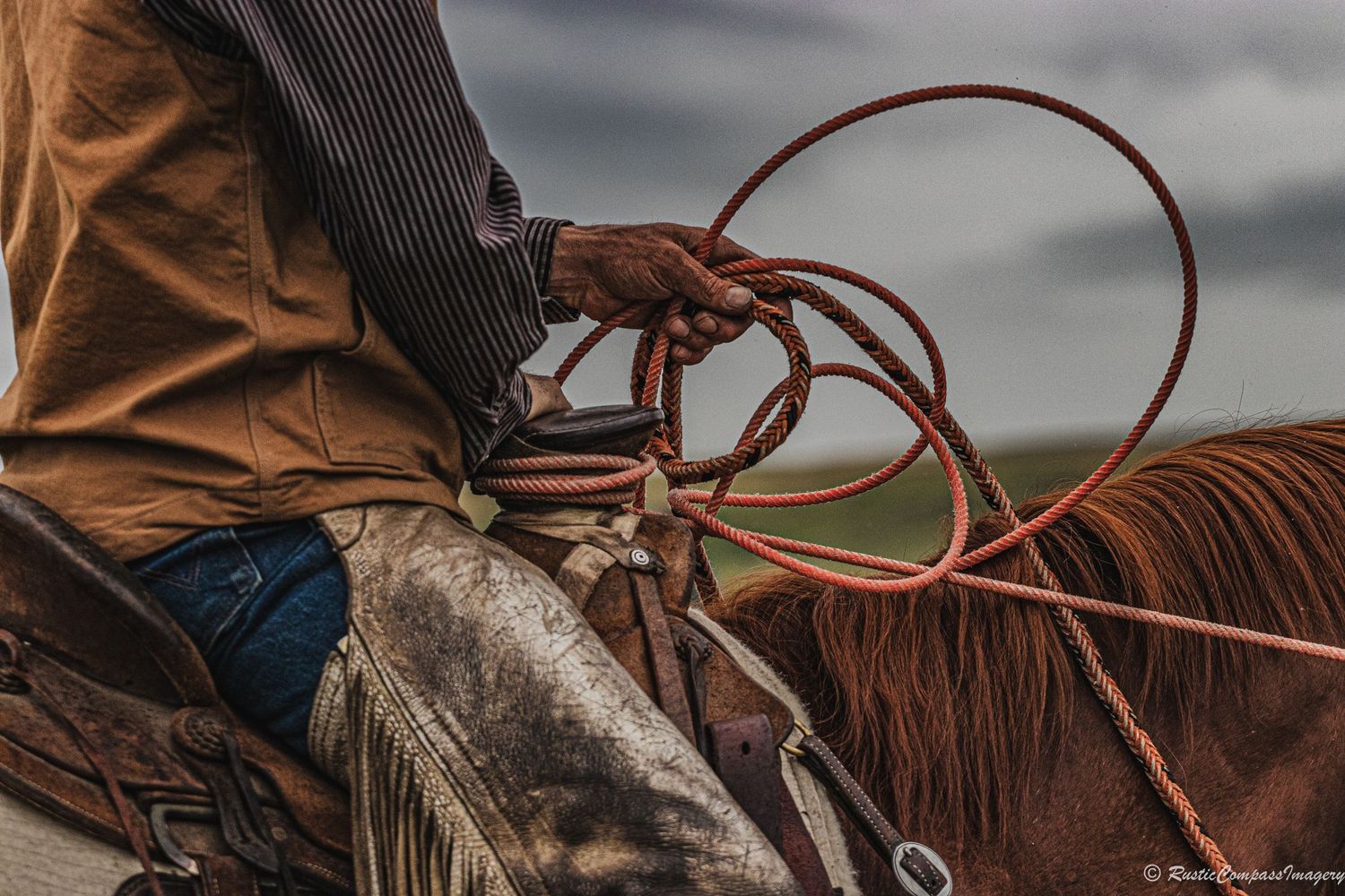 Ranch And Rodeo Life photography portfolio - Rustic Compass Imagery