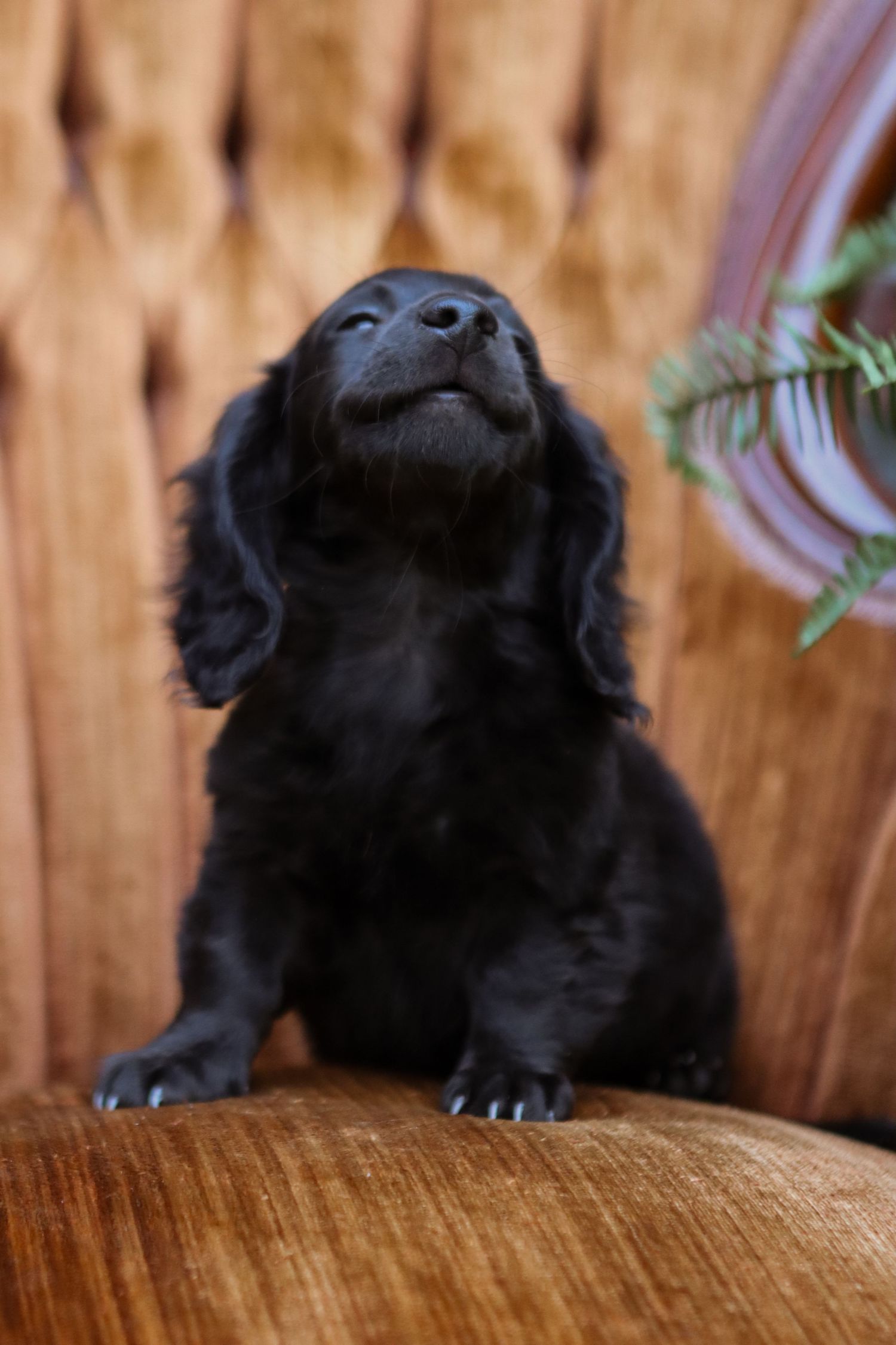 Axel Grace Photography