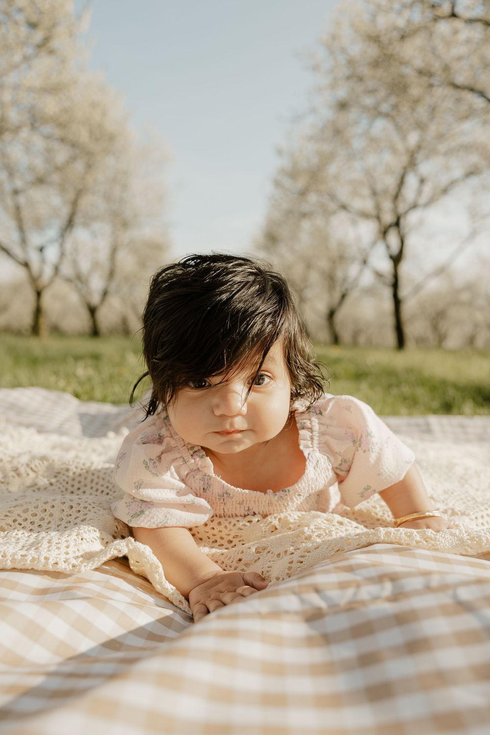 Cherry Blossom Minis 2025 - Camille Lydia Photography | West Michigan ...