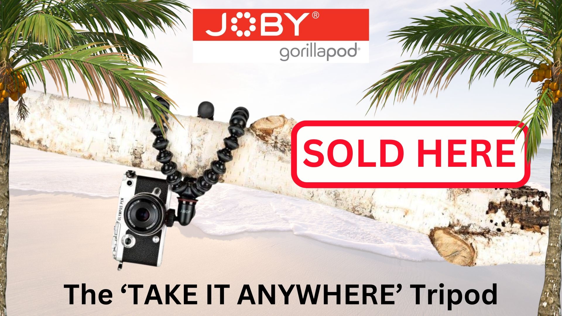 Tangalooma Photo Shop