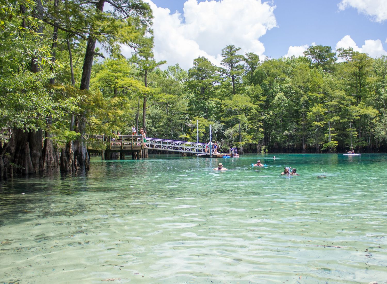 Let's Explore Morrison Springs & Ponce de Leon Springs State Park ...