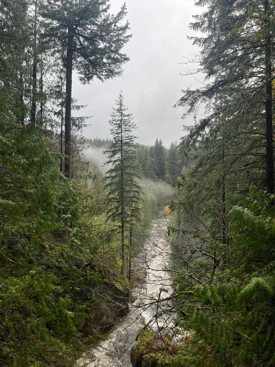 Copy - Third Eye Photography