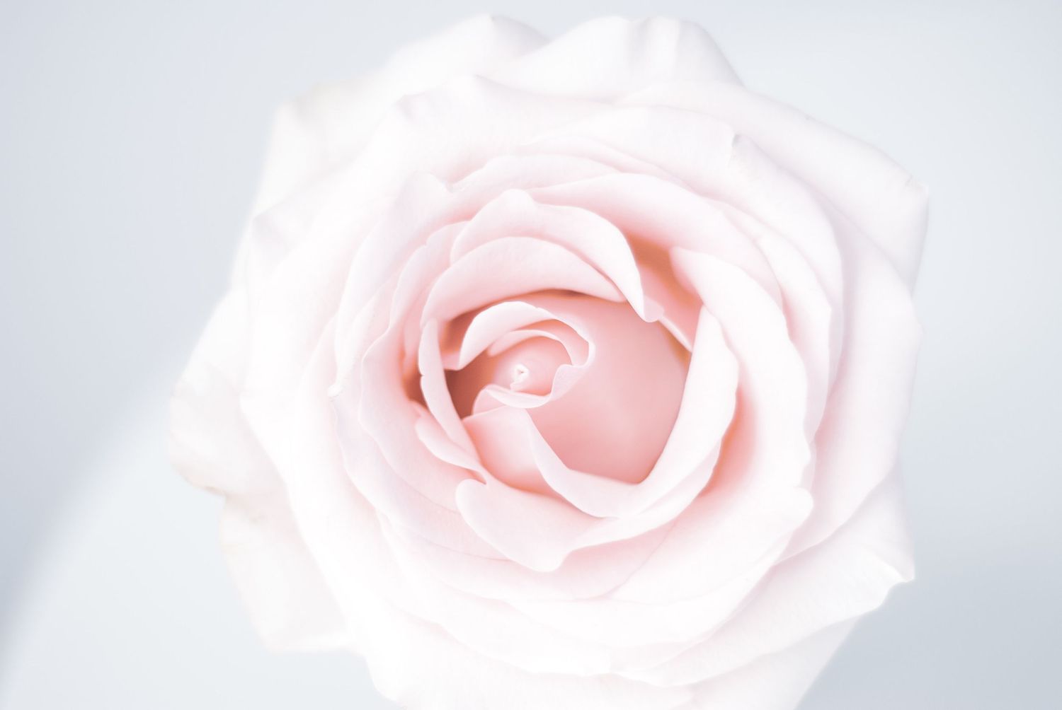 Artwork - Christina Bock Photography