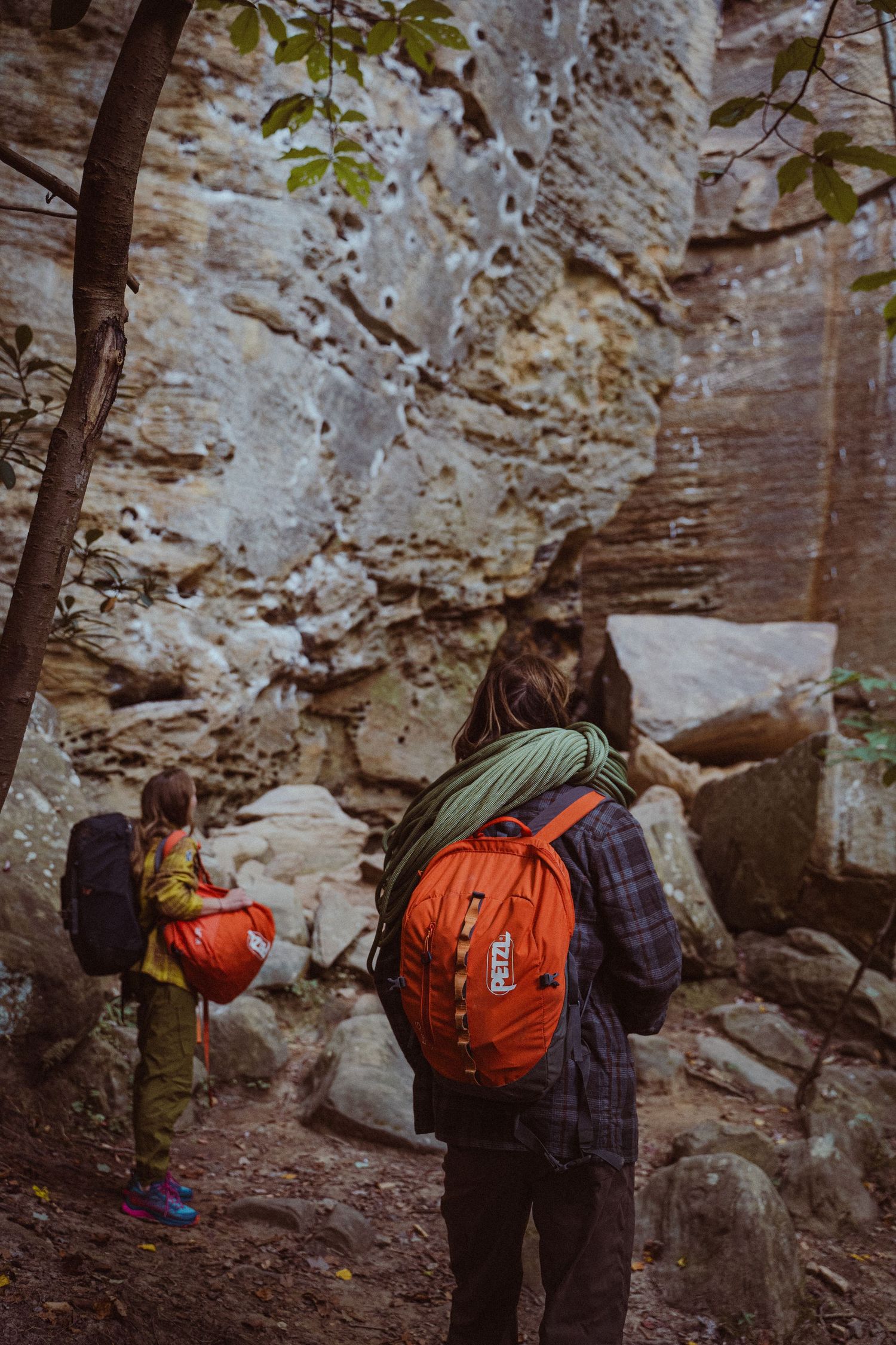 Gallery C - Drew Mercer