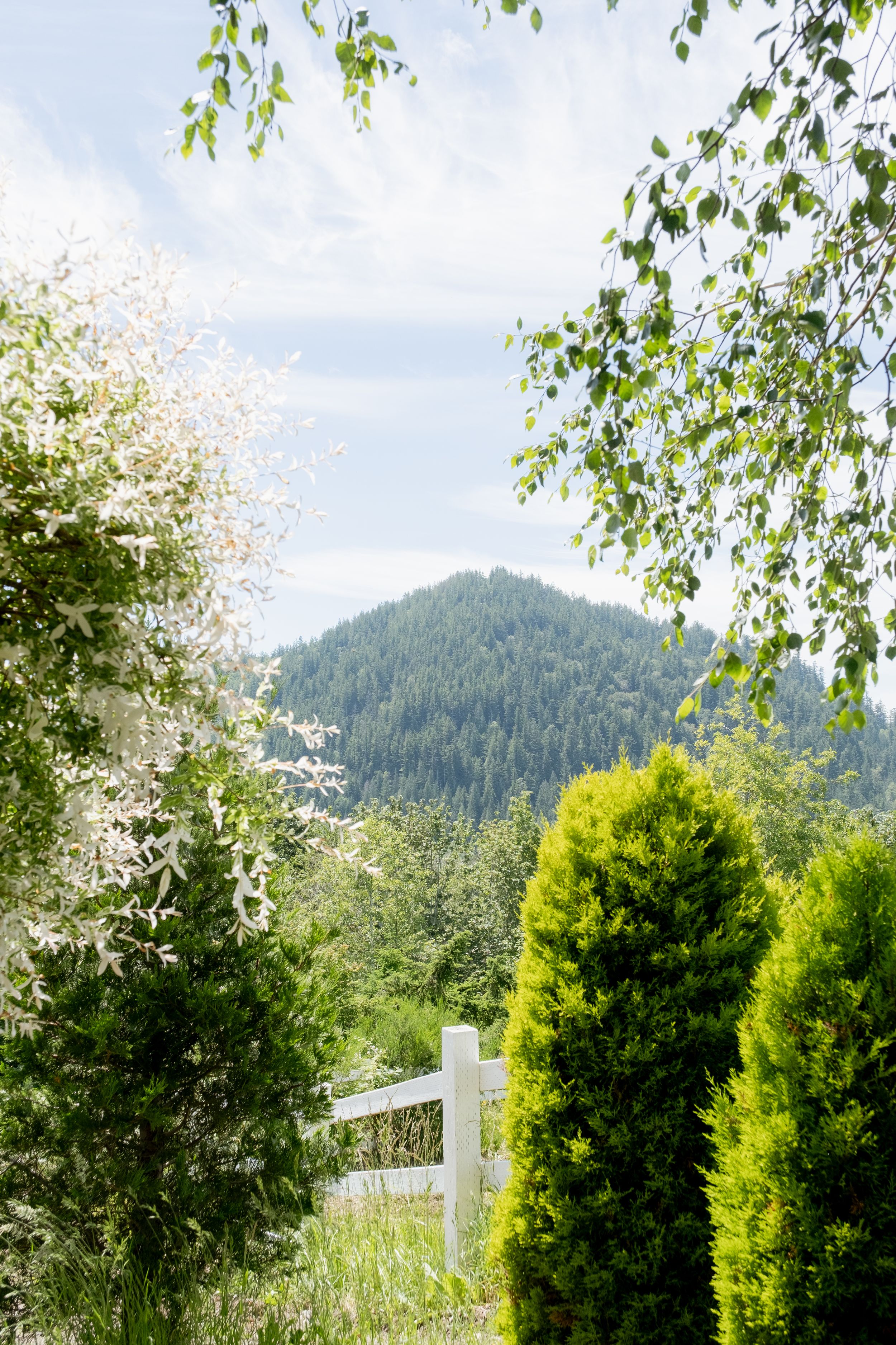 Emma Manning Photography