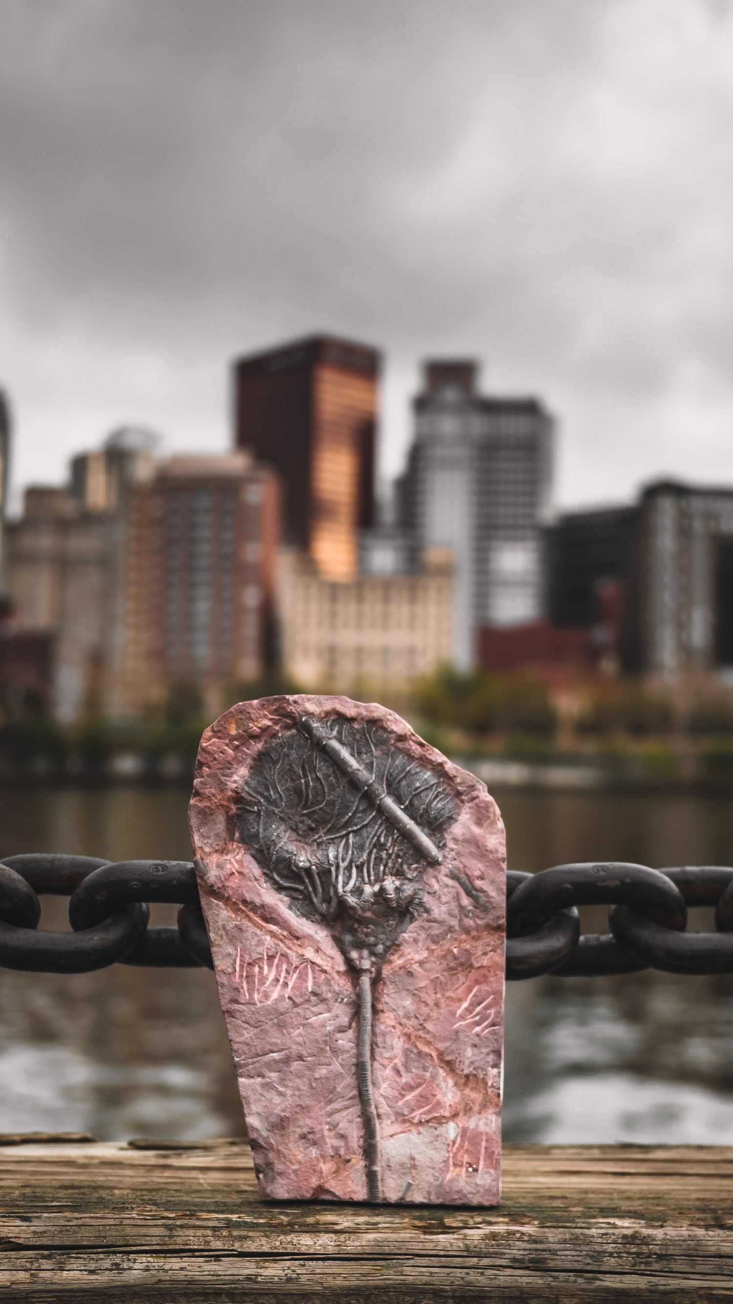 Crinoid Meaning, Properties, and Benefits - Geology Rocks Pittsburgh