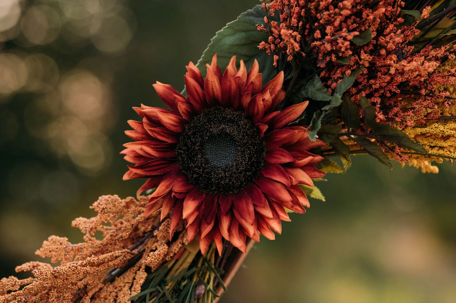 Leila Robb Photography