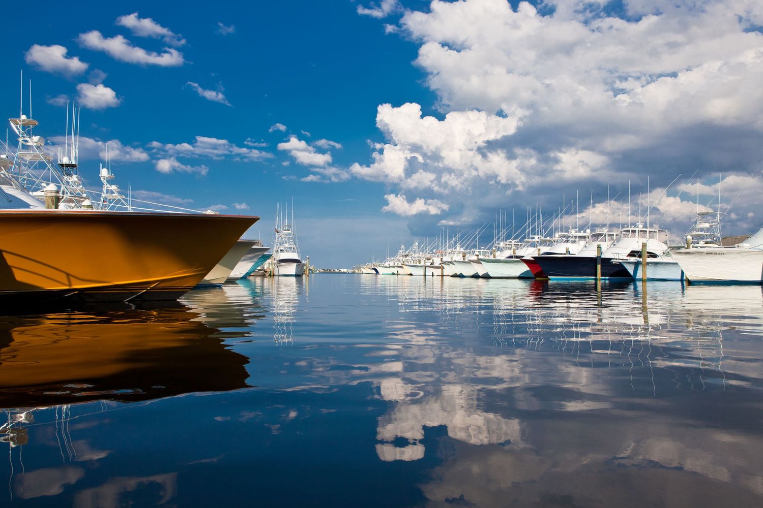 Matt Lusk Photography