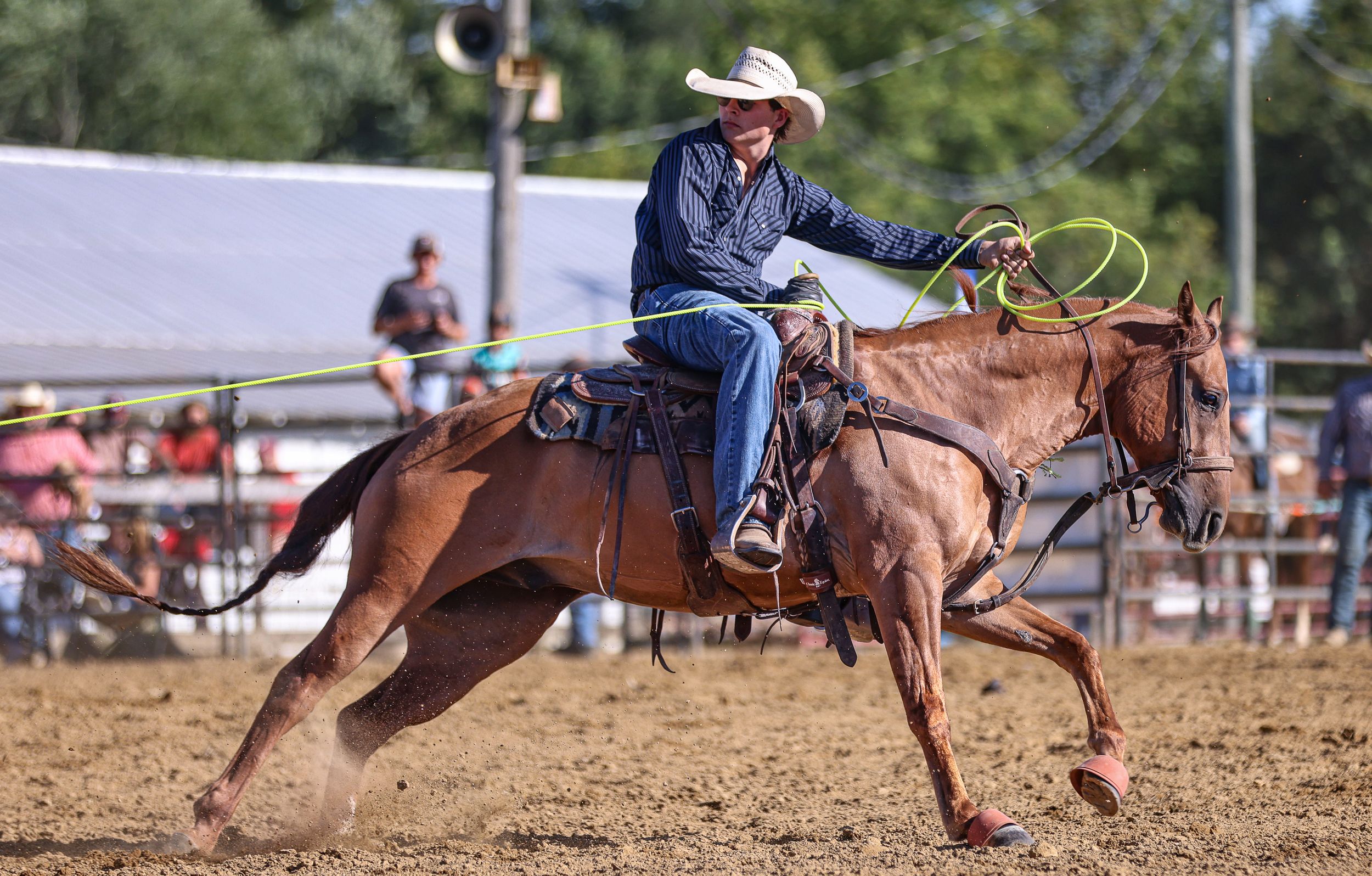 Wild Rodeo Photography