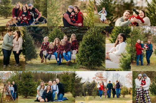 Shawna Faith Photography