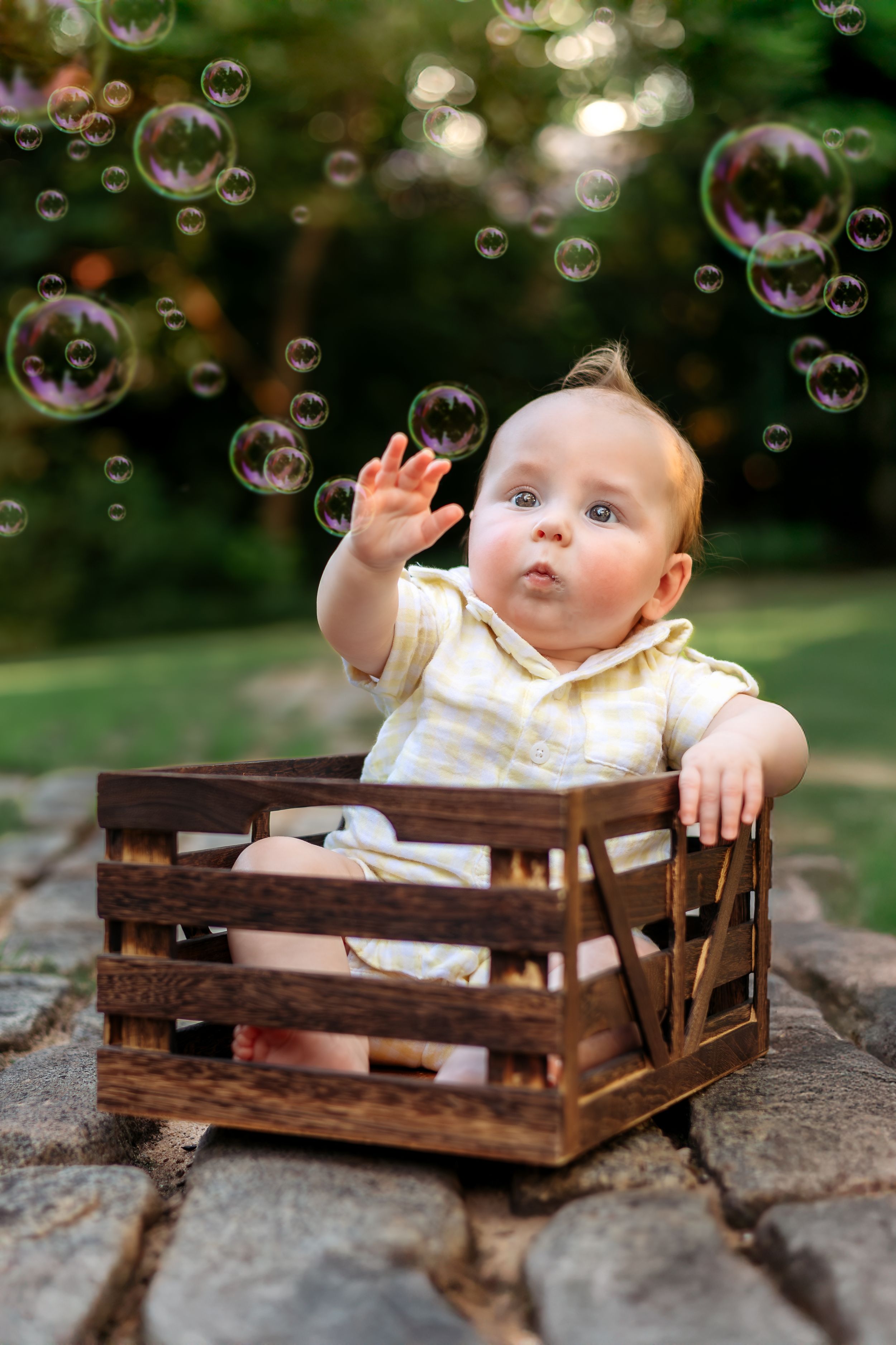 Contact Ansley Howe Photography | Family & Newborn Photographer in ...