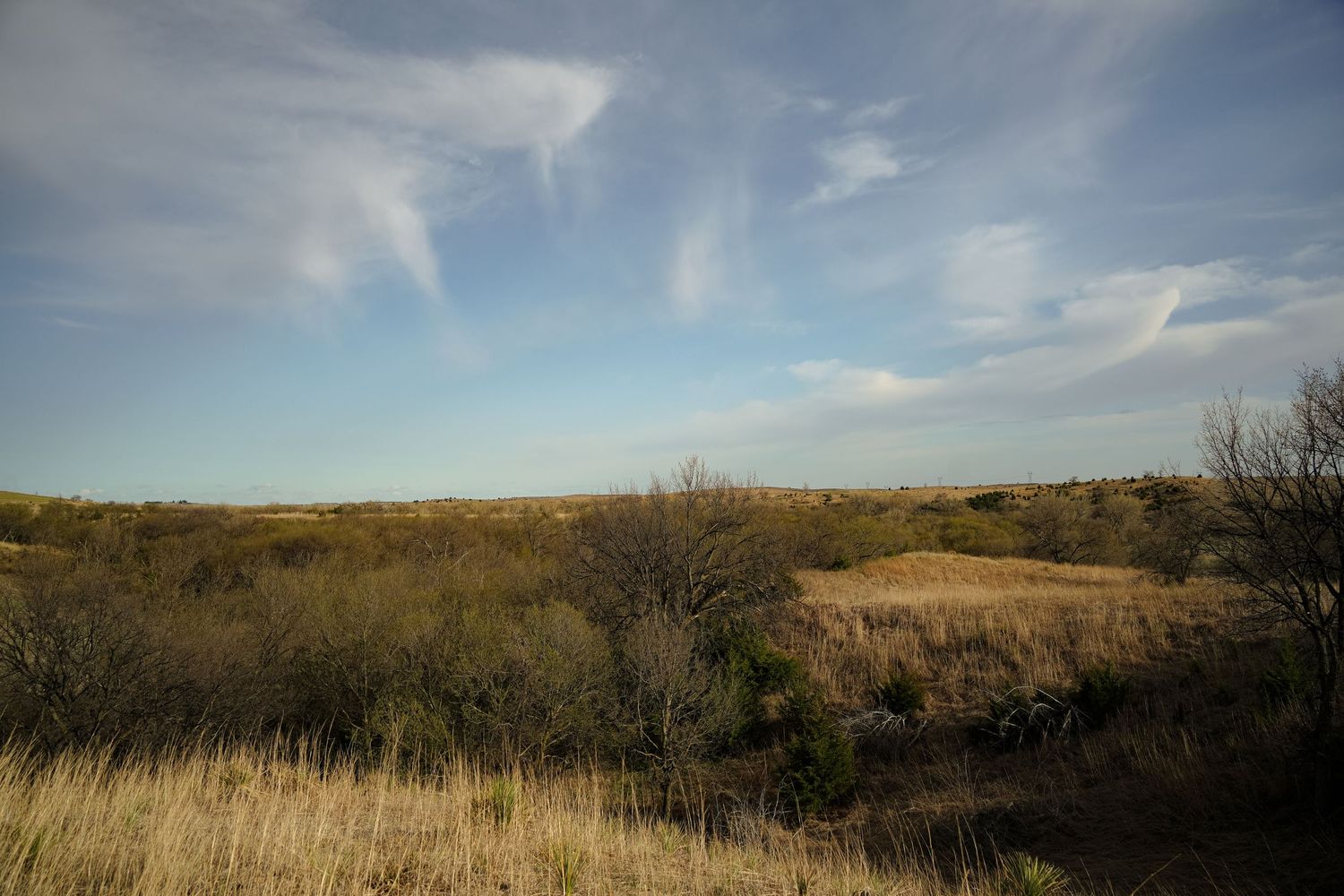 Pricing - Elevate 20 Creative