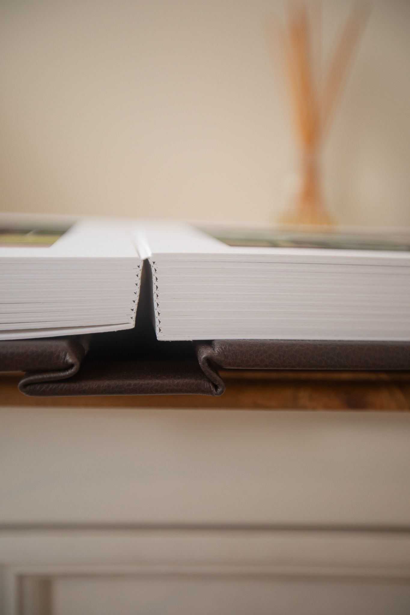 The Perfect Heirloom - My Brand New Album - Imogen Moon ABIPP - Equine ...