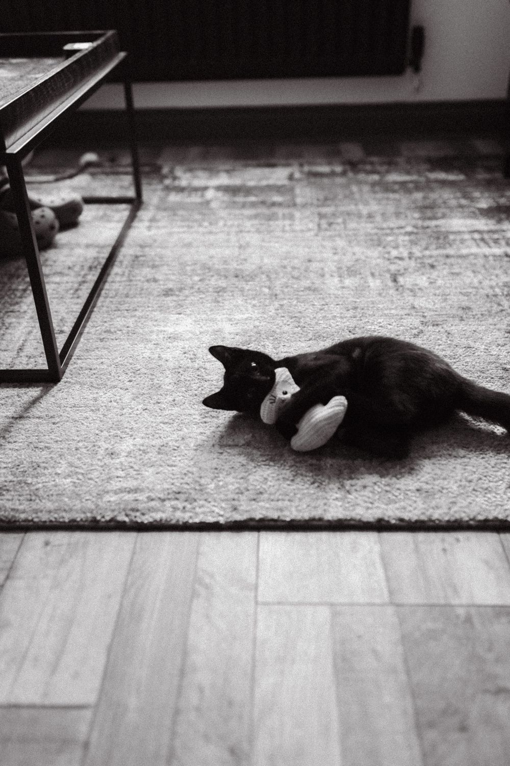 Femme Feline - Anete Lusina Photography