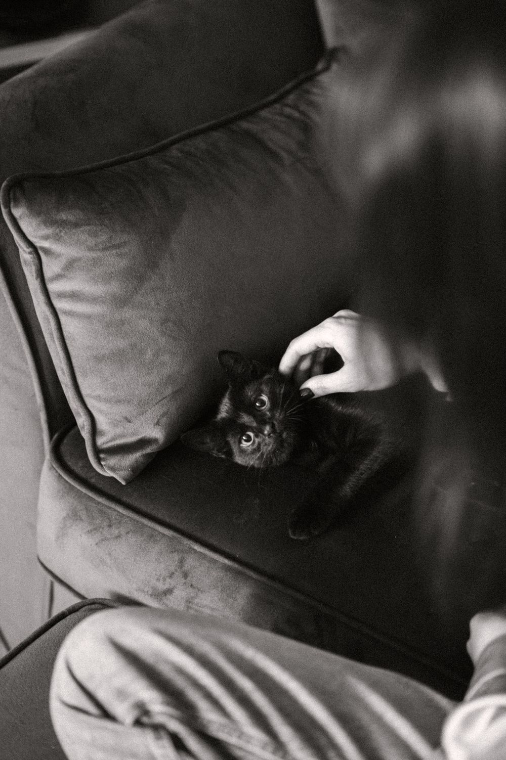 Femme Feline - Anete Lusina Photography