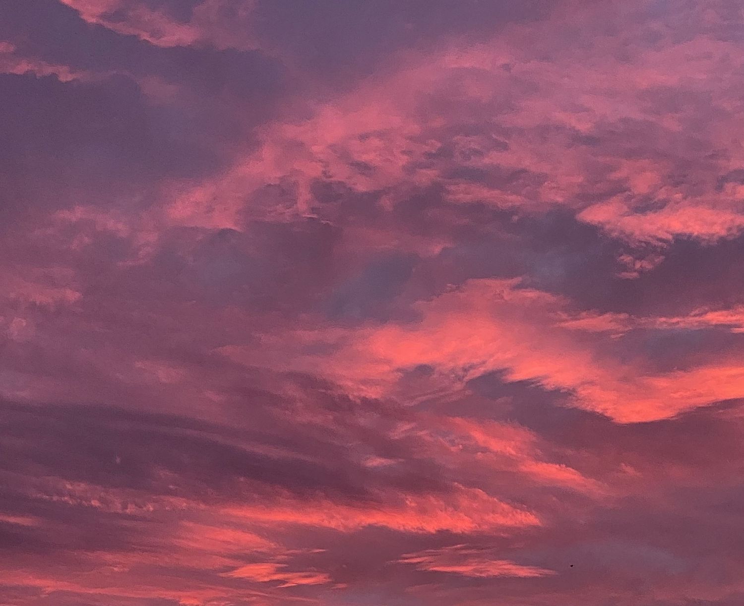 Portfolio - Magic Wand Photography