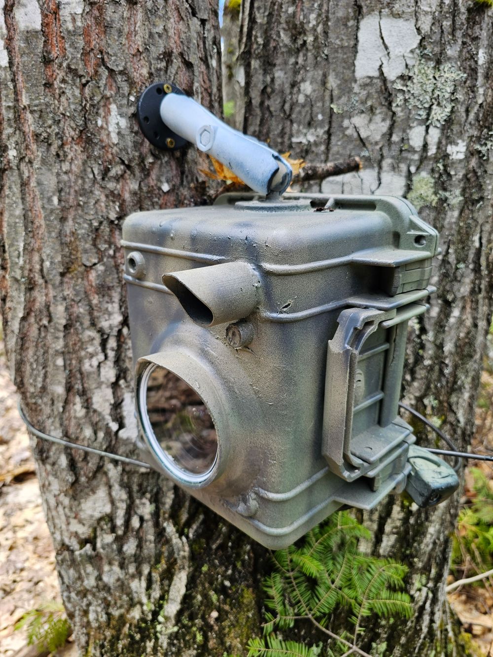 DSLR Camera Trap Services Maine | Wildlife Photography - Eisenhaur ...