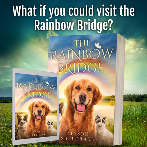 Books - Alyson Sheldrake