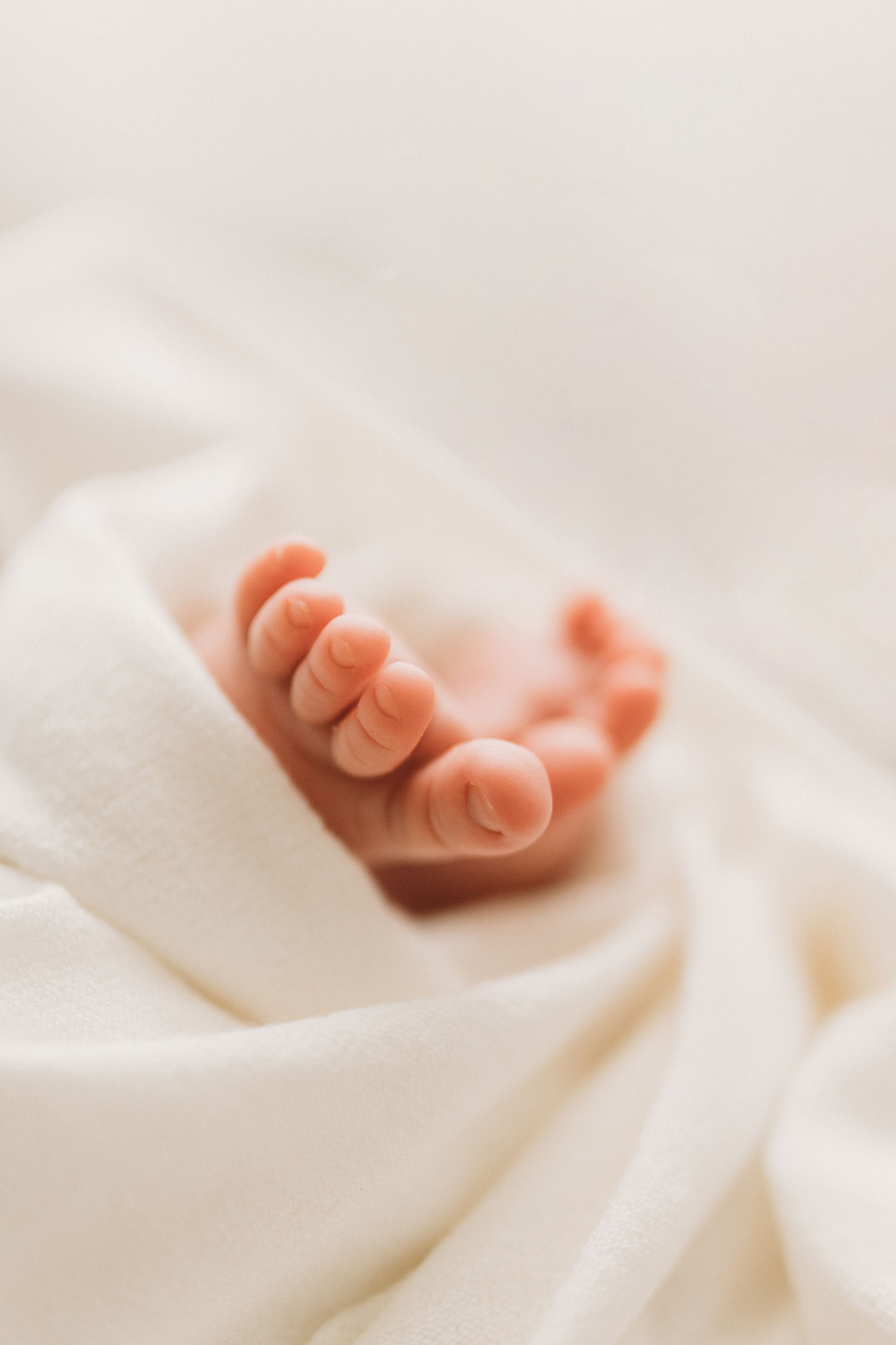 Portfolio - Chelsea Jean Photography