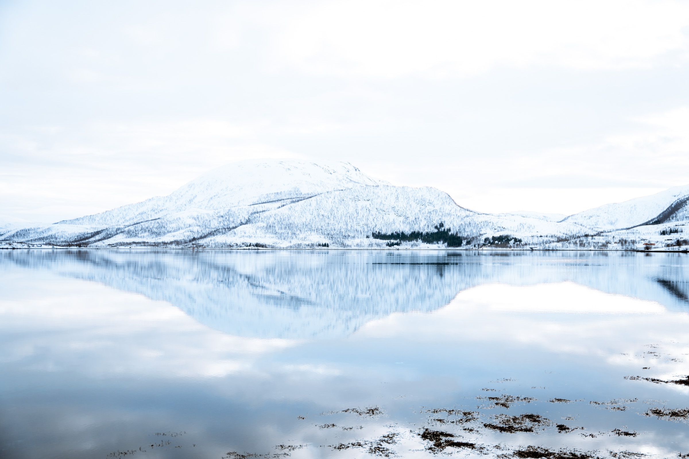 Norvège | Les îles Lofoten et Senja en hiver - Itinéraire de 10 jours ...
