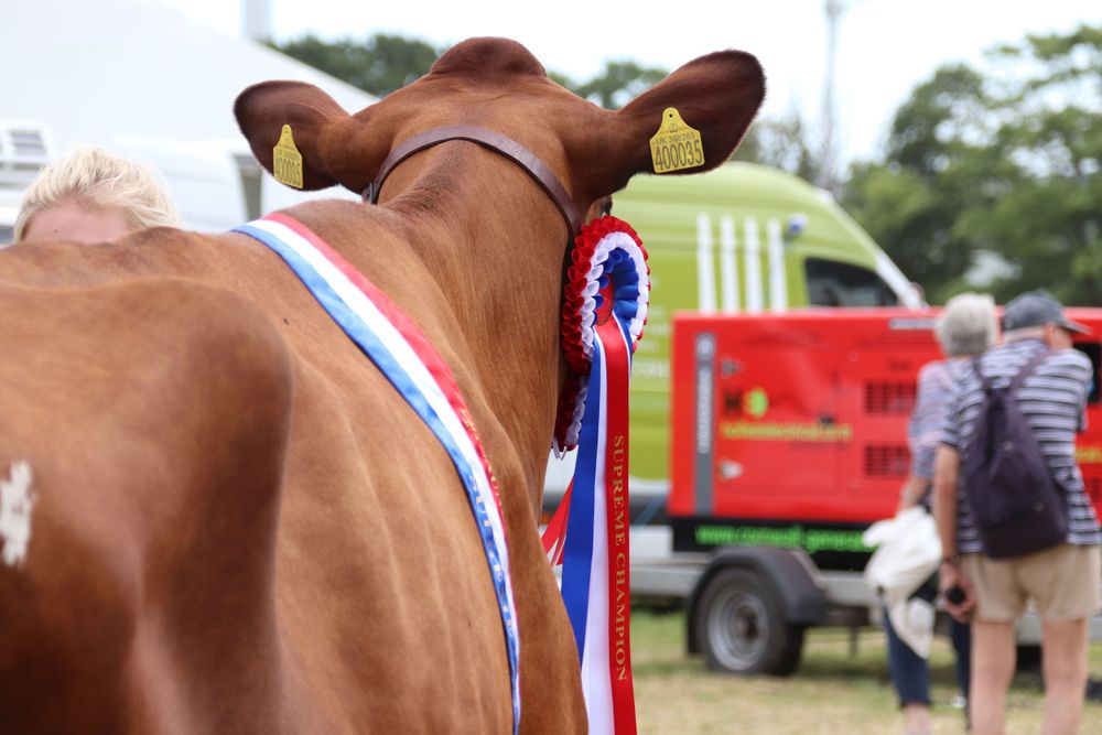 Home Copy - Debbie Walters