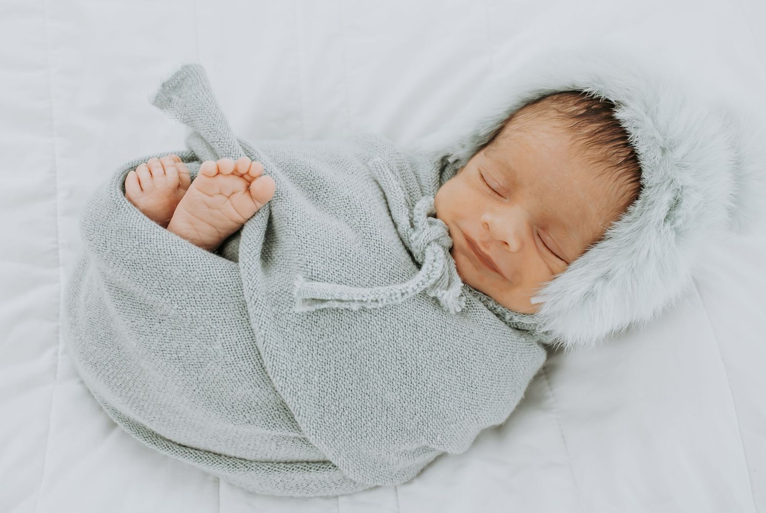 Little lamb photography