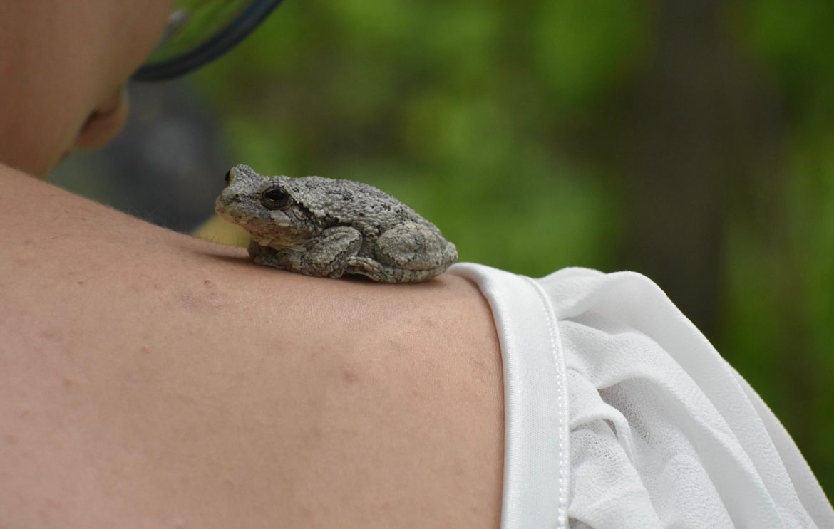 Portfolio - Third Eye Photography