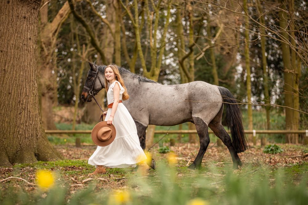 Arabella, Jasper & Marley - Imogen Moon ABIPP - Equine & Dog ...