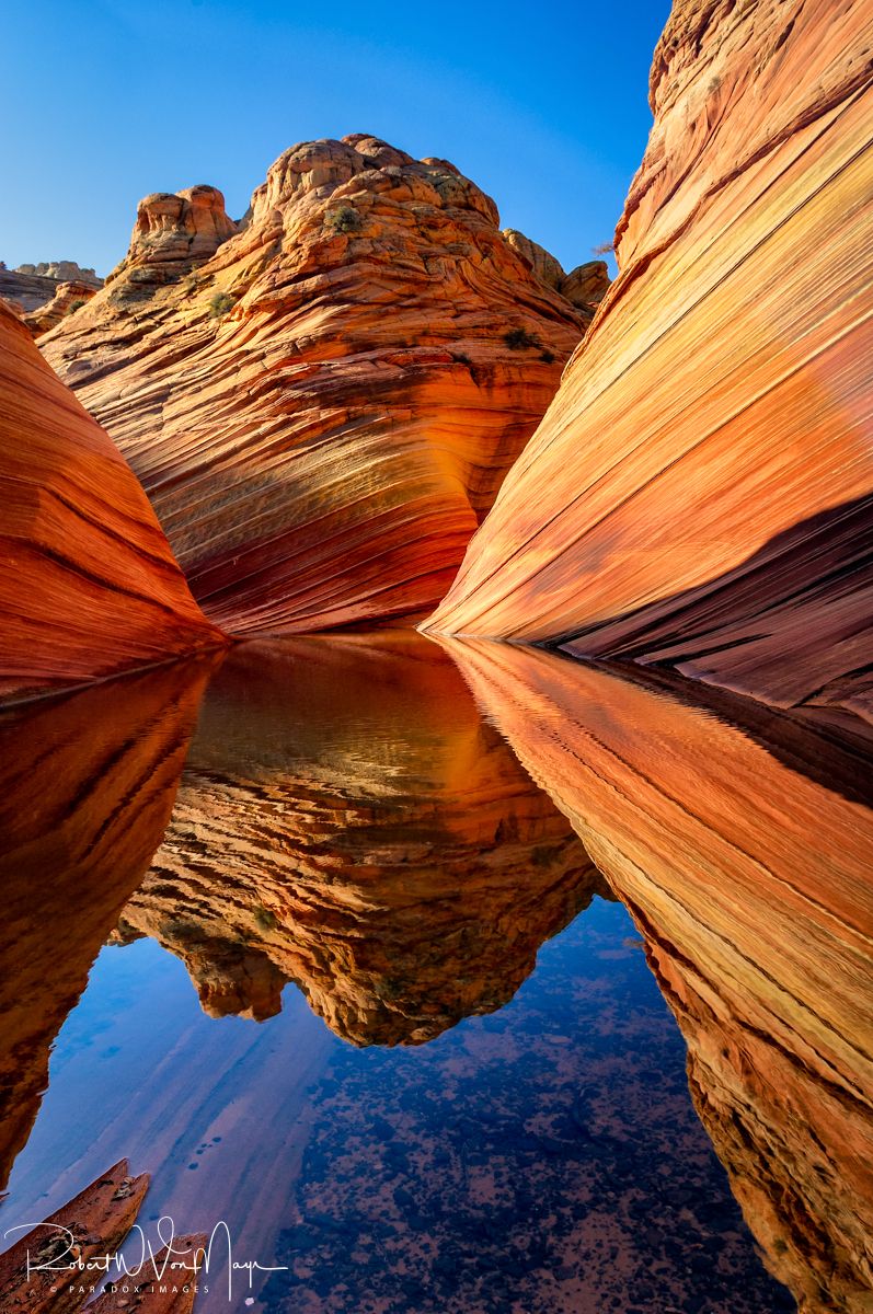 Portfolio - Paradox Images