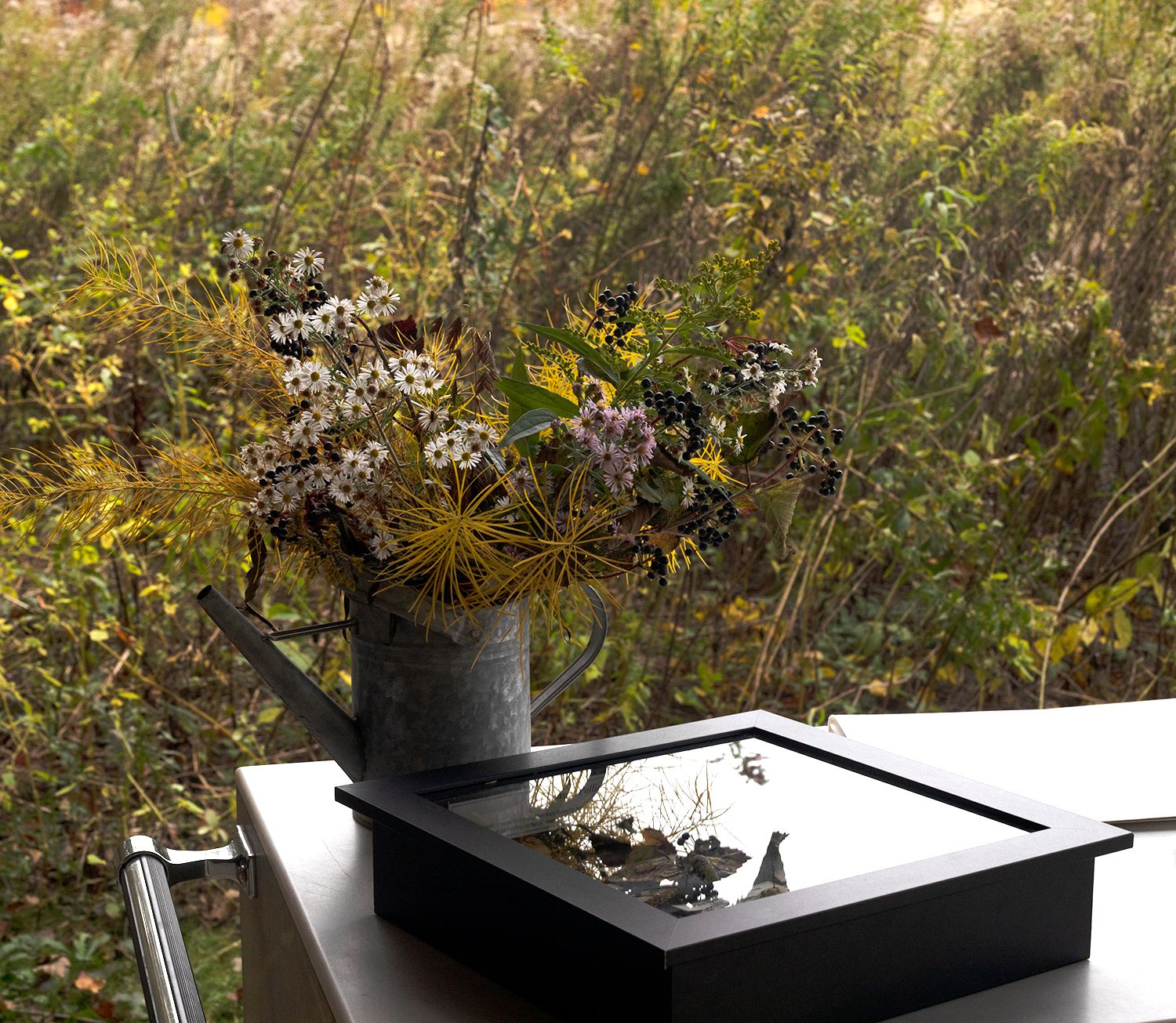 Pricing - Tricia Simmons Photography