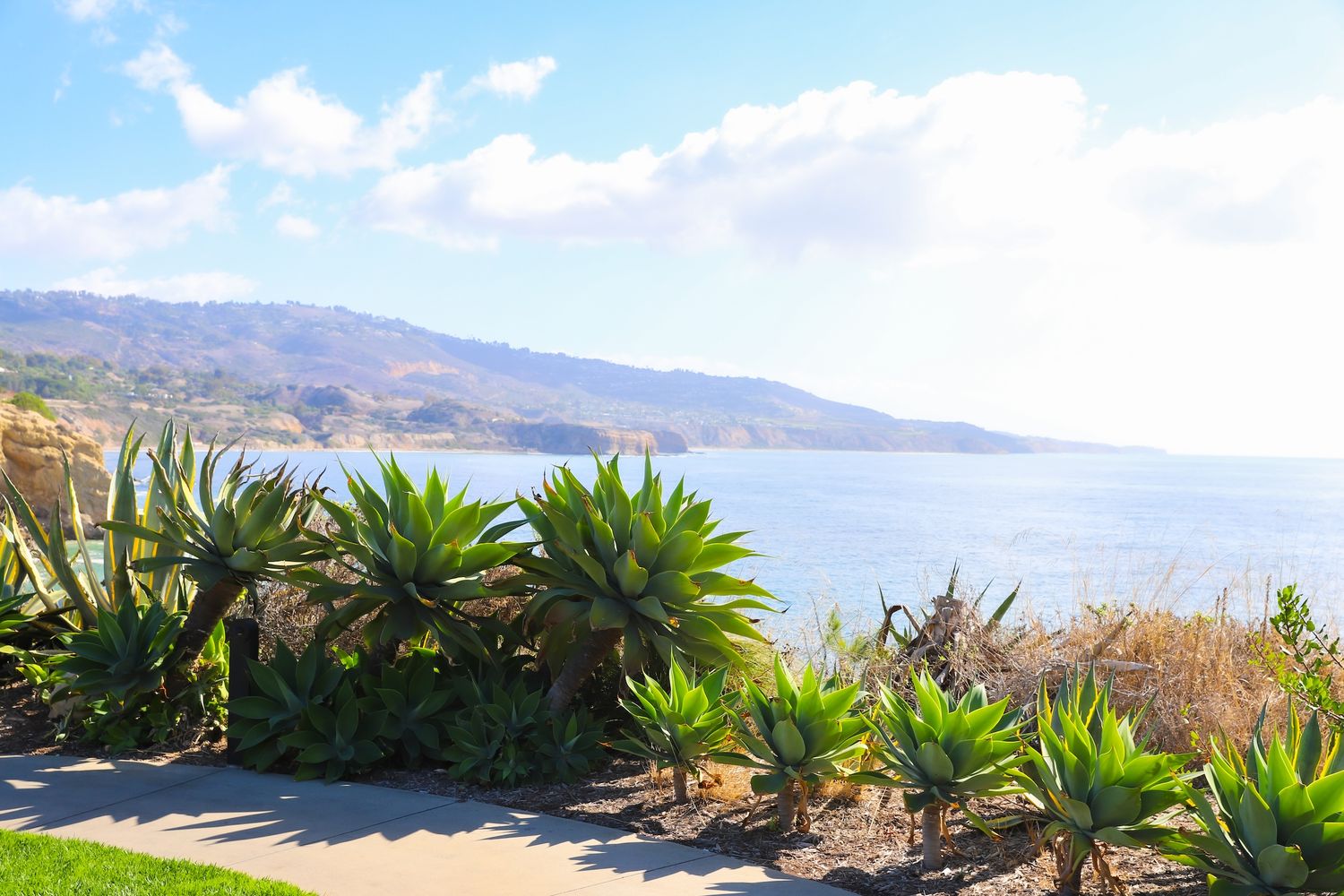 Christen Webb Photography