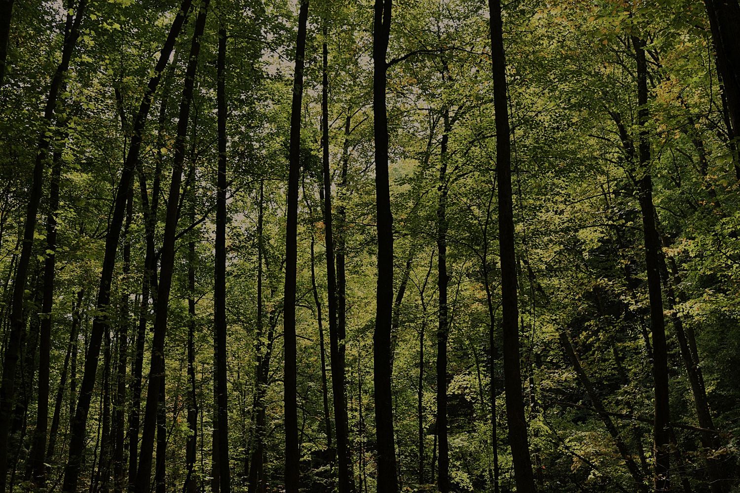 Audrey & Co. Photography