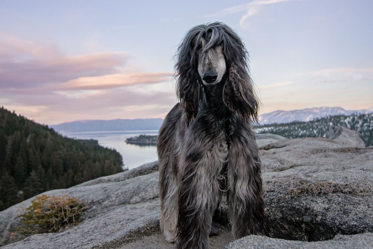 Portfolio - Ryan Ritter Photography