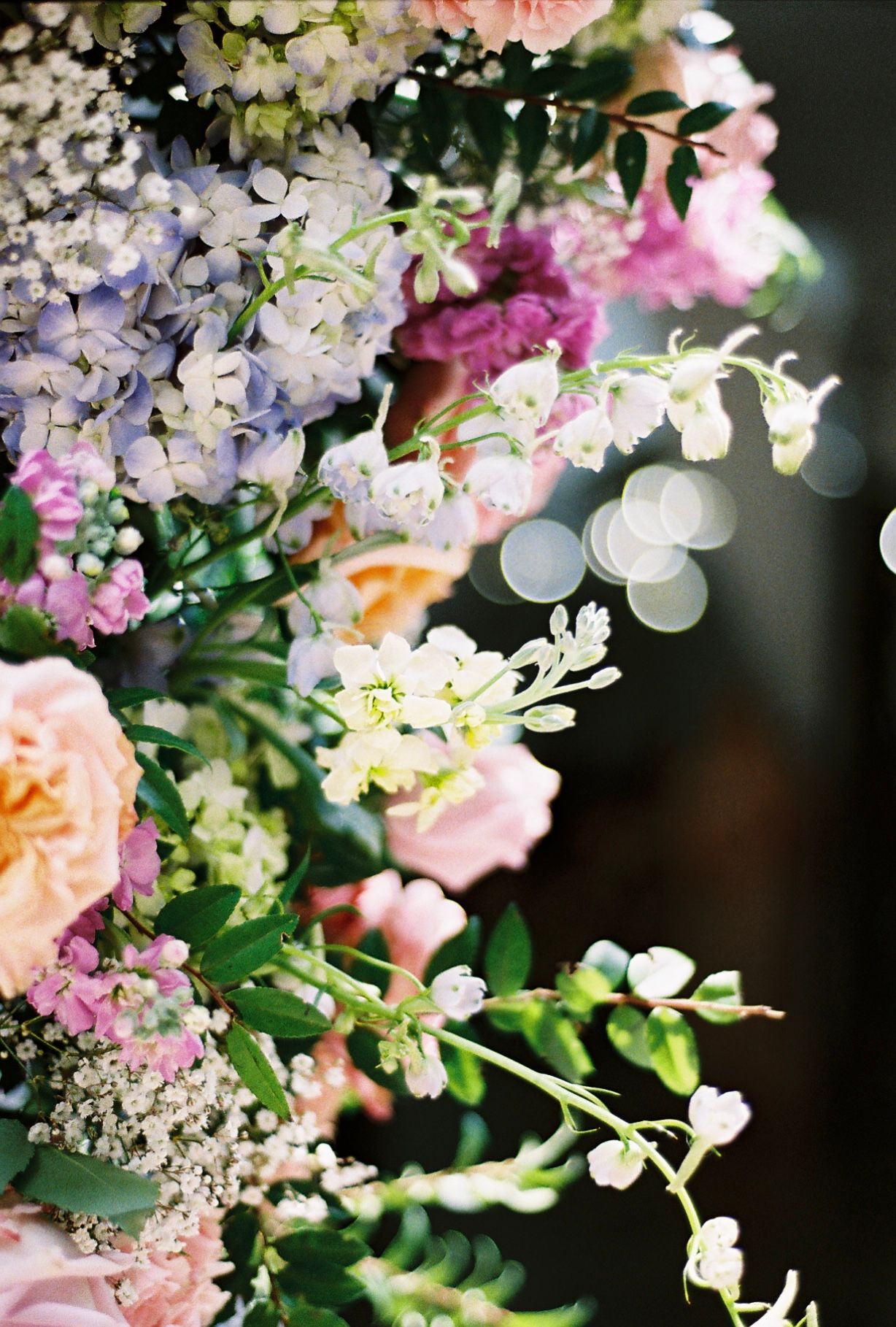 Contact - Cass Davis Photo