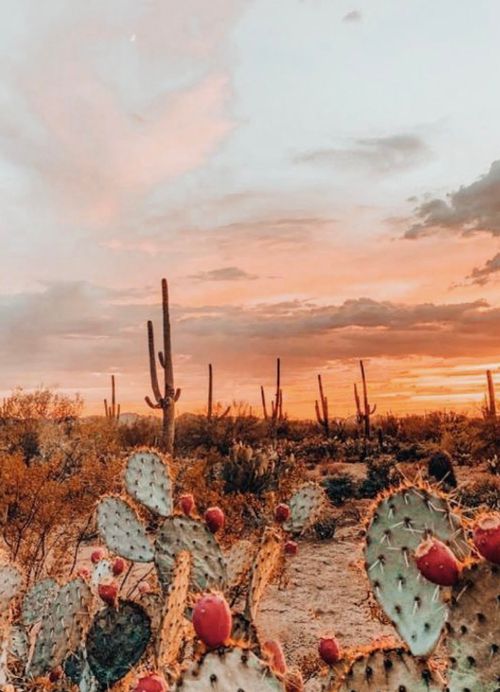 Contact - Rocking MB Salon