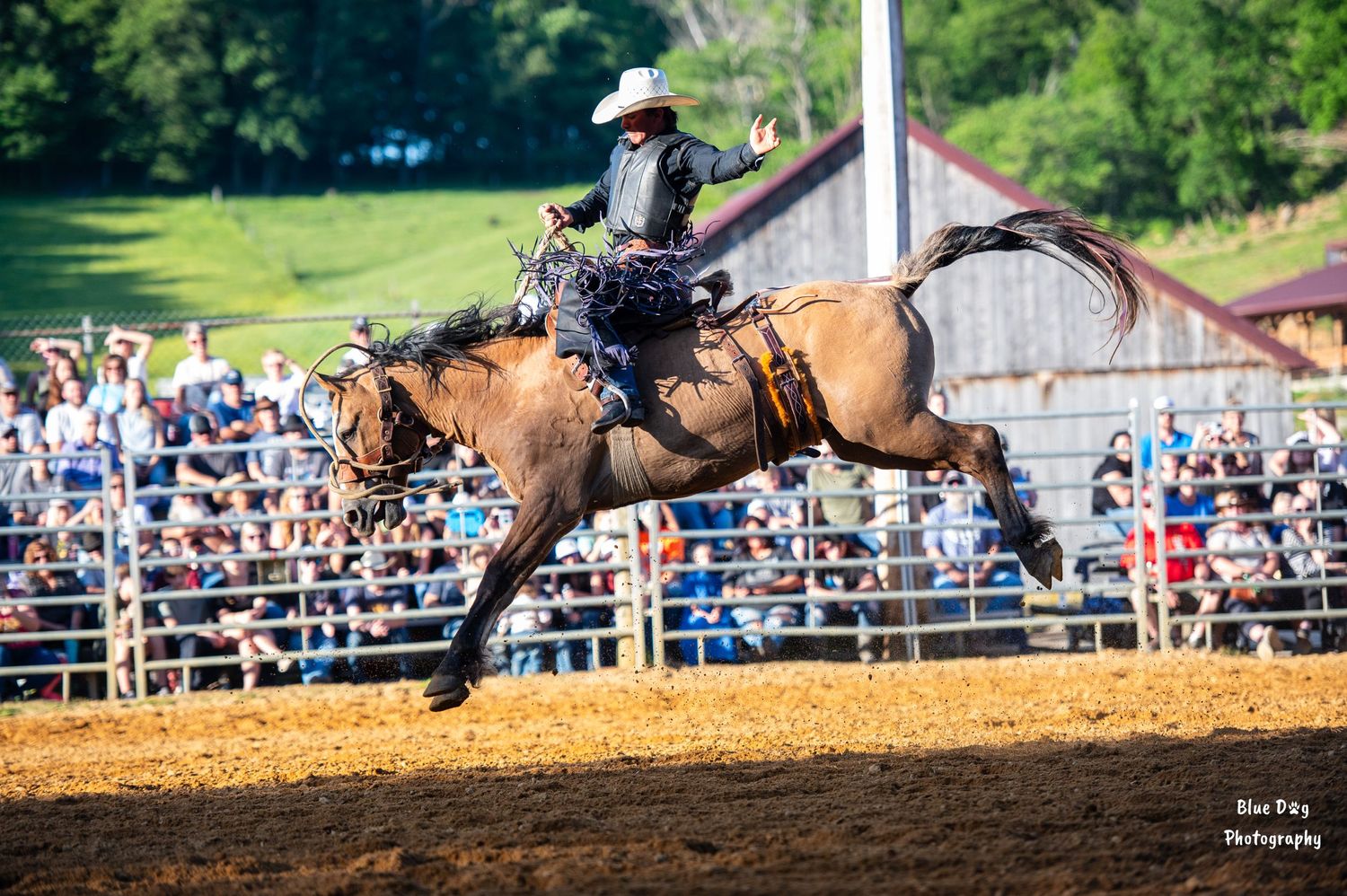 Rocky Ridge Ranch - Blue Dog Photography
